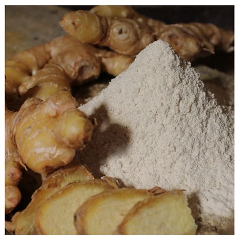 Ginger Jahe Emprit Citra Marvella 09