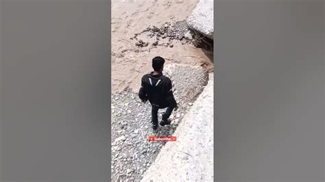 Chilla Range Rishikesh 😘 Shorts Uttrakhand Ytshorts Short Youtube