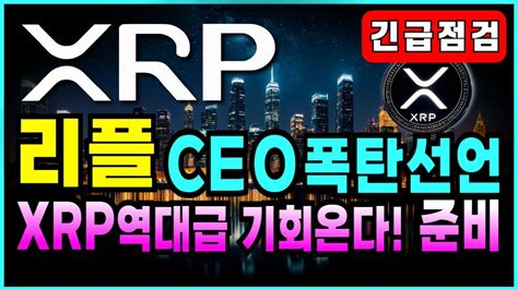 Xrp코인 전망⭐리플ceo 트럼프 암호화폐 캠프 합류 엑스알피 급등랠리 얼마 안남았습니다 현금 준비하세요 리플 리플코인