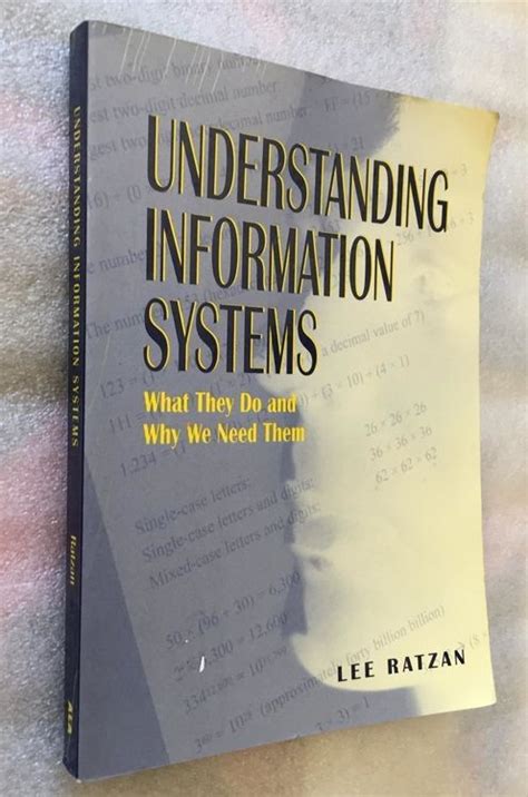 Ratzan Understanding Information Systems Kaufen Auf Ricardo