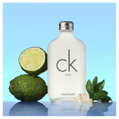 Ck One 200ml Edt By Calvin Klein Unisex Luxe Fragrances