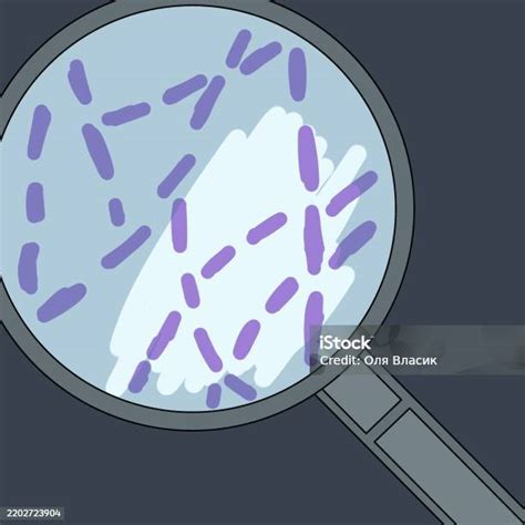 Bacillus Anthracis Stock Illustration Download Image Now Anthrax