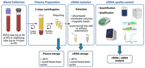 Cfdna Sequencing Technological Approaches And Bioinformatic Issues