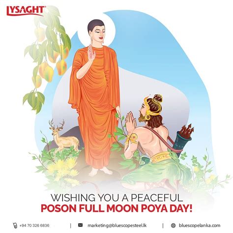 Lysaght On Linkedin 30yearsofexcellence Lysaght Roofingsolutions Futureoftheroofing…