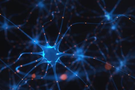 Premium Photo 3d Illustration Of Interconnected Neurons With