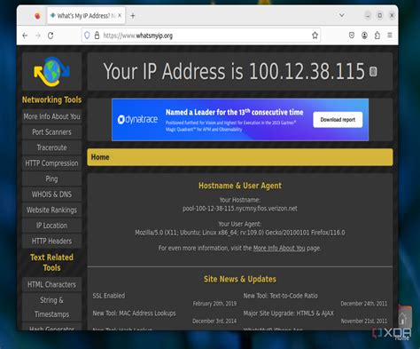 See Your Ip Address What Is My Ip Pmmqen