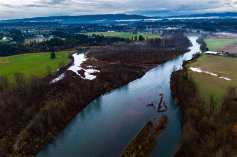 Illuminations From The Attic Misty Morning On The Cowlitz River