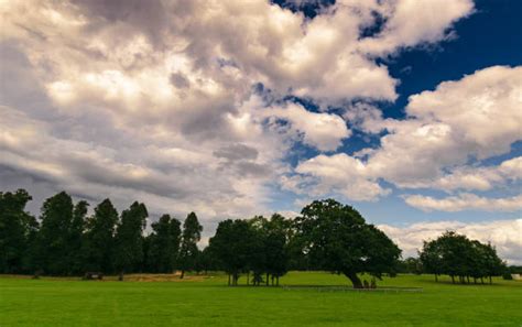 220 Hatfield Foto Stok Potret And Gambar Bebas Royalti Istock