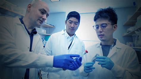 The Many Faces Of Janus Kinases In Immunity