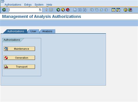 Analysis Authorizations Sap Security Pages