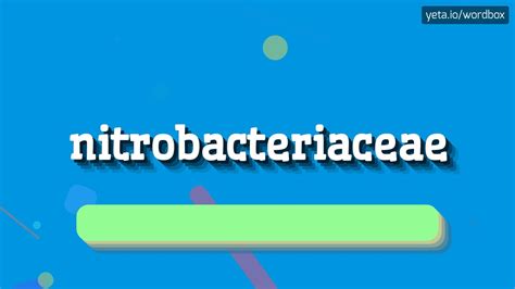 Nitrobacteriaceae How To Pronounce It Youtube