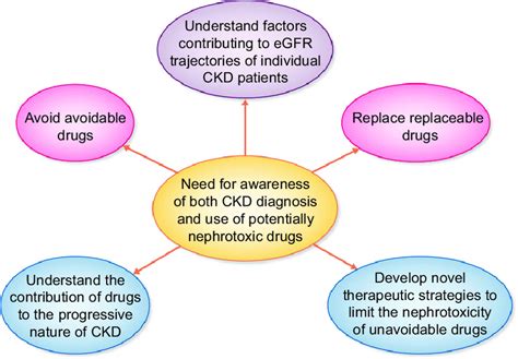 Need To Monitor The Prescription Of Potentially Nephrotoxic Drugs To