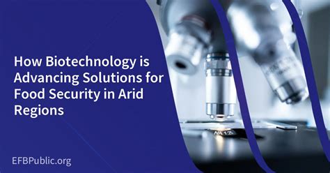 How Biotechnology Is Advancing Solutions For Food Security In Arid Regions