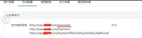Wechat Jsapi Weixin Error Appidgetbrandwcpayrequest
