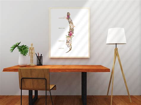 Spinal Cord Anatomy Art Chiropractic Art Vertebral Column Etsy