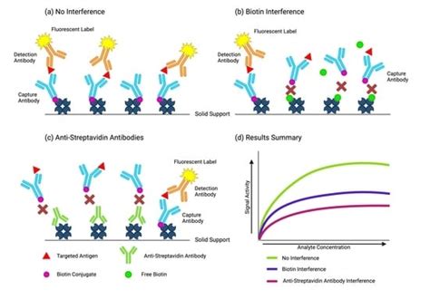 Cimb Free Full Text An Analysis Of The Biotinstreptavidin System In Immunoassays