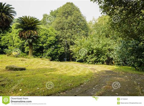 Curving Flagstone Pavement In Grassy Lawn On Sunny Day Stock Image