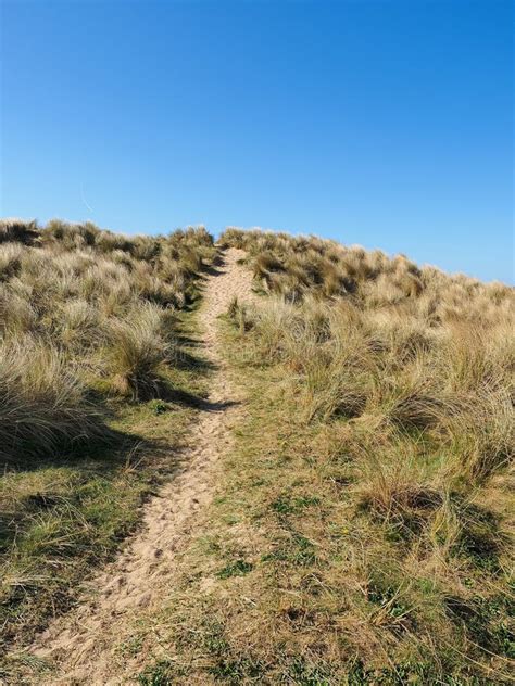 A Narrow Sandy Path Through Tall Grassy Dunes Under A Clear Blue Sky