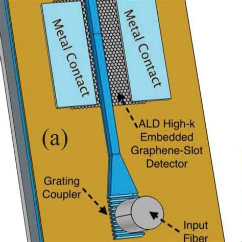 Sem Micrograph Of Fabricated Detector Integrated With The Slot Waveguide Download Scientific