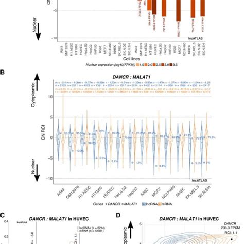 Subcellular Localization Plots Displayed By Lncatlas Malat1 And Dancr
