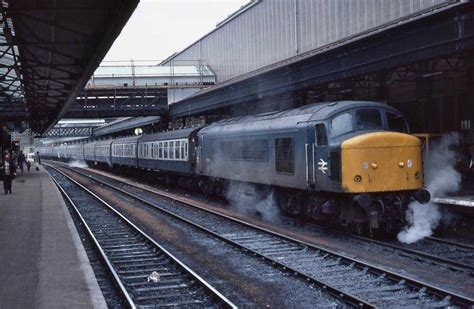 Photograph Courtesy Peter Lovell