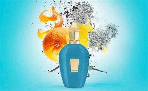 What is the Best Xerjoff Fragrance?