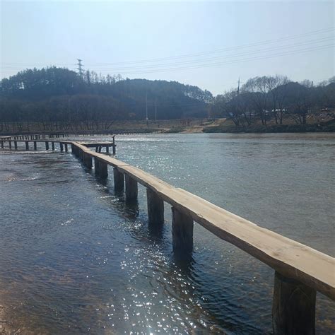 경북 영주 무섬 마을 좋네요~~ 유머움짤이슈 에펨코리아