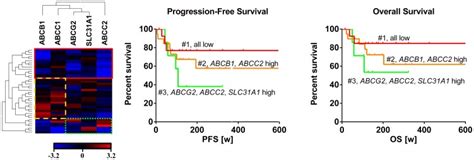 a heatmap of the median normalized log2 transformed mrna expressions
