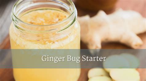 How To Make Alcoholic Ginger Beer With A Ginger Bug Full Recipe
