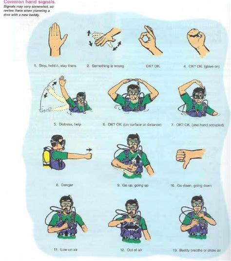 Scuba Diving Hand Signals Padi And Underwater Gestures The Most Common