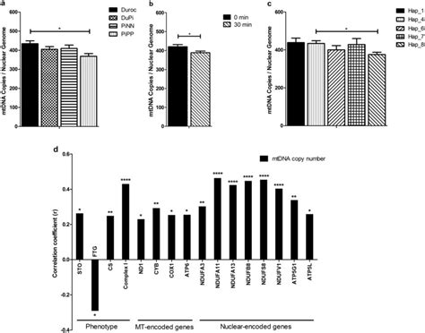 Absolute Mitochondrial Dna Copy Number In Porcine Longissimus Muscles Download Scientific
