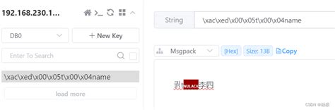 SpringDataRedis的序列化方式二 极客之音