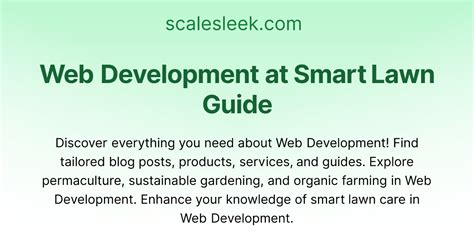 level up your web development scale sleek