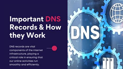 How DNS Records Work Central Coast Websites