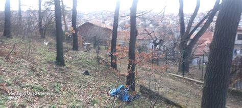 Парк „Дренски рид потъна 4власт Информационна агенция