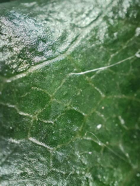 Realme Gt Pro Review Creative Bloq