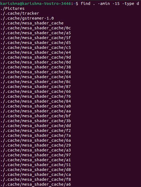 Linux 查找文件 立地货