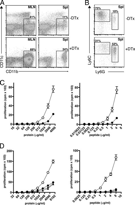 Cd11b High Cd11c Low Cells With Very Poor Cd4 T Cell Activation
