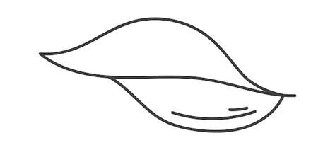 Premium Vector Floral Leaf Linear