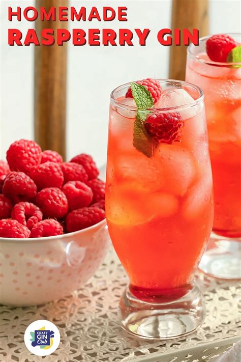 Raspberry Gin Artofit