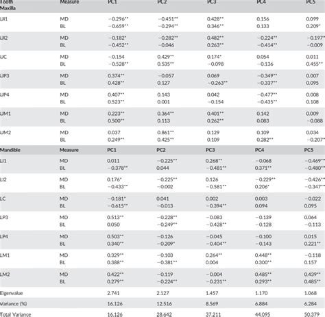 Unrotated Principal Component Analyses Based On Geometrically Scaled