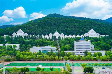 조선대 민립대학 명문화 정관개정설립자 친인척 이사장 취임 제한 파이낸셜뉴스