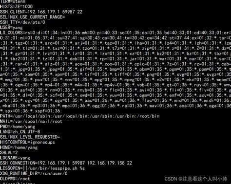 Linux进程三（环境变量和优先级）linux进程优先级默认是80吗 Csdn博客