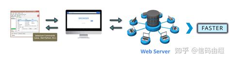 Selenium WebDriver教程 知乎