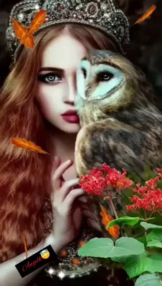 Annie Roox And Annie Rox Leak Twitter Discover