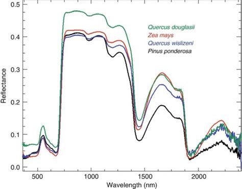 6 Essential Applications Of Leaf Spectrometers Cid Bio Science