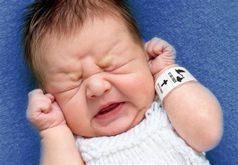 Få Overblikket Det Består Dit Blod Af Illvid Dk