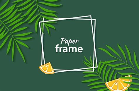 종이는 열대 야자수 잎과 슬라이스 오렌지 감귤류 와 함께 두 개의 흰색 사각형 프레임을 잘라 어두운 녹색 배경에 광고 텍스트를 판매하기위한 장소와 벡터 카드 그림 0명에