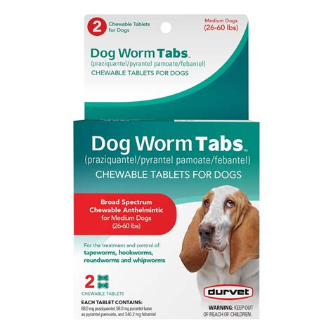 Dog Tapeworm Treatment