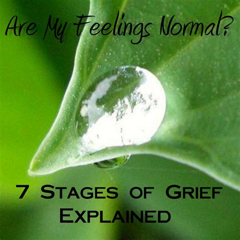 Stages Of Grief Quotes Quotesgram
